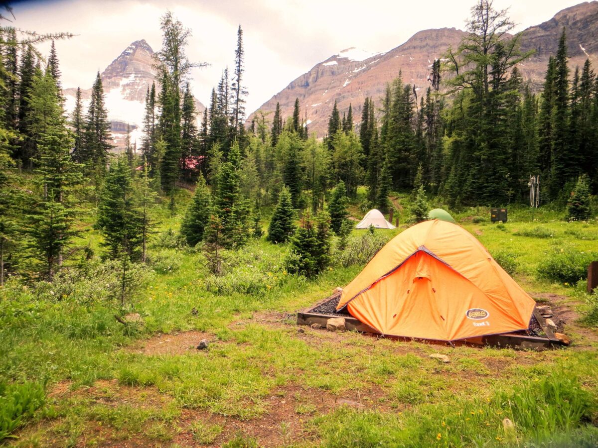 Programs – Crossing the Divide Experience